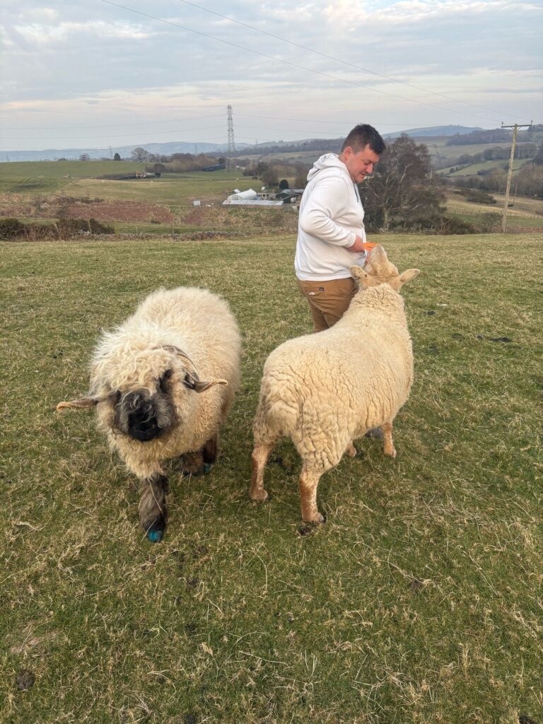 Heartwarming Visit To Woolly Experiences Therapy Farm: The Ultimate ...