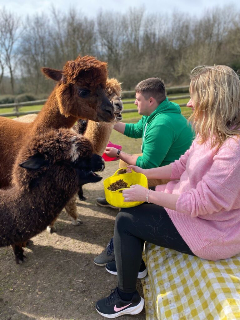 Heartwarming Visit To Woolly Experiences Therapy Farm: The Ultimate ...